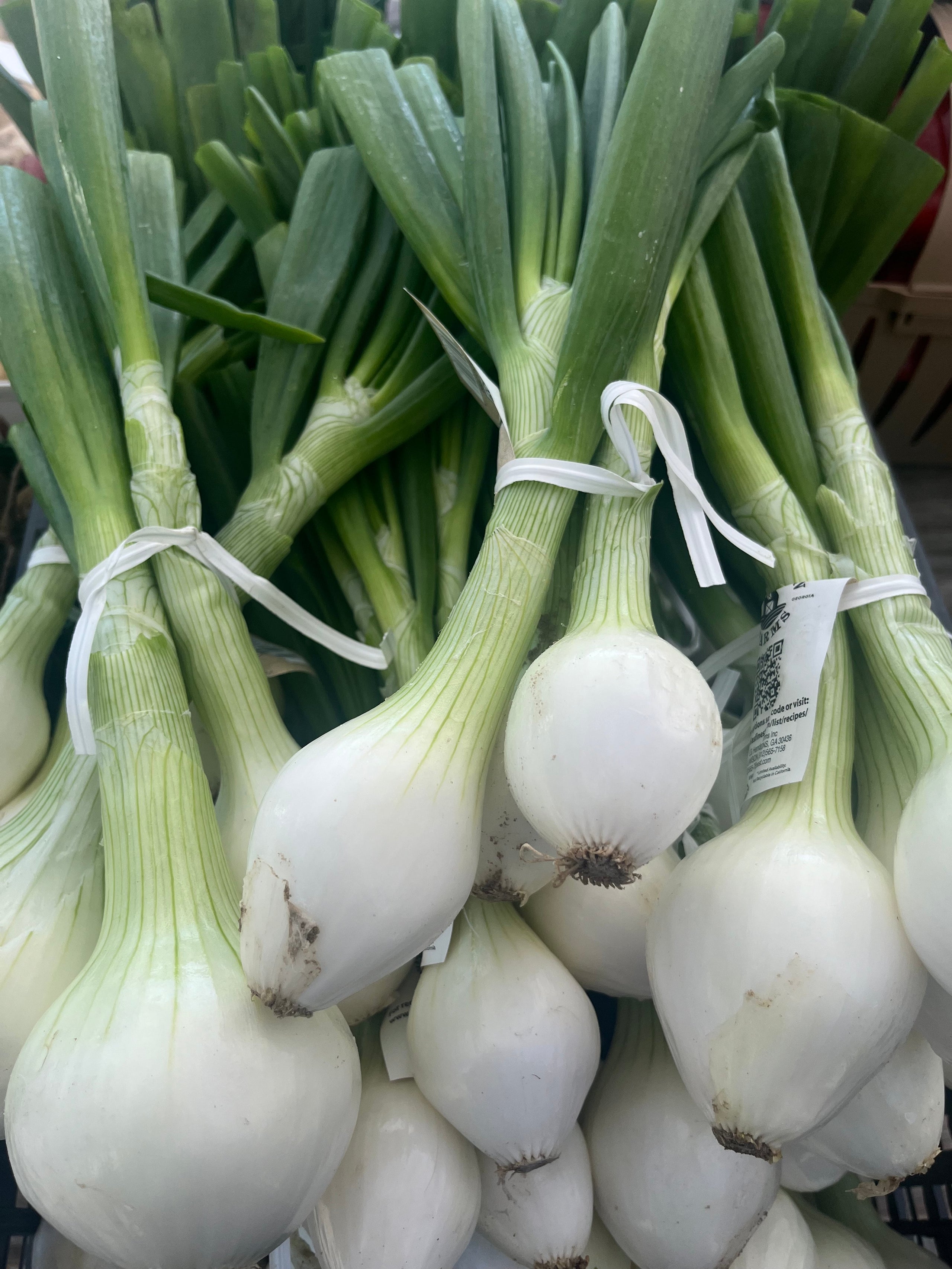 Vidalia Onion Bulbs | The Peach Stand